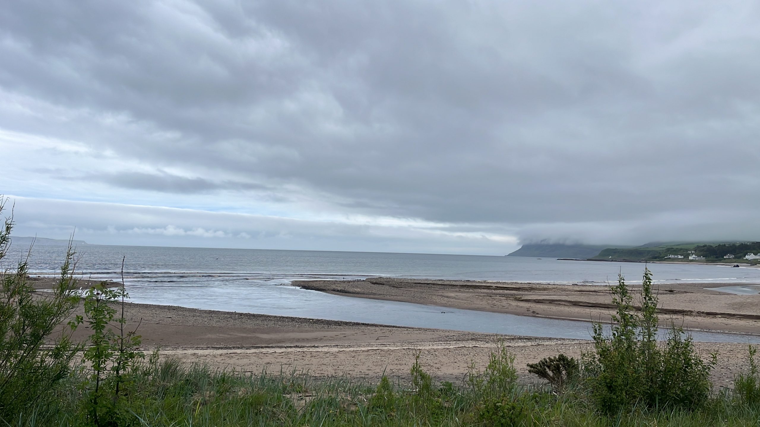 The Rathlin Sound festival 2024 - Wild Walk Bushcraft